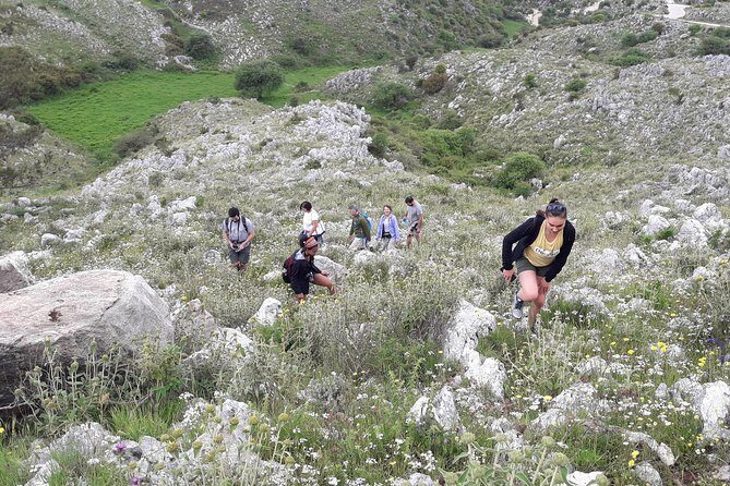 Corfu Countryside Hiking Tour - Scenic Highlights: Waterfalls, Coastlines, and Hidden Trails