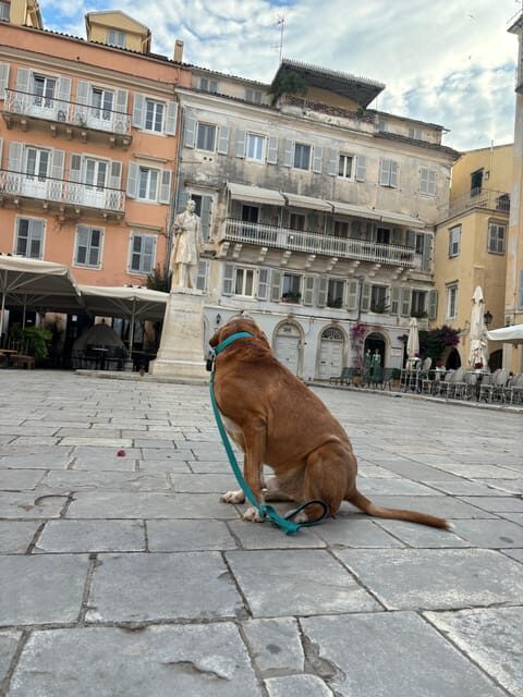 Corfu: Dog Sightseeing Tour - An Authentic Walk Through Corfu’s Highlights