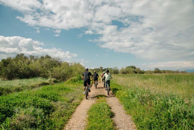 Corfu: E-Bike Tour with Olive Oil Tasting - Key Points