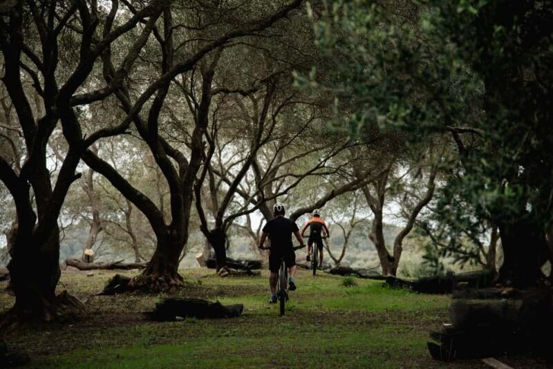 Corfu: E-Bike Tour with Olive Oil Tasting - A Closer Look at the Itinerary and What You Can Expect