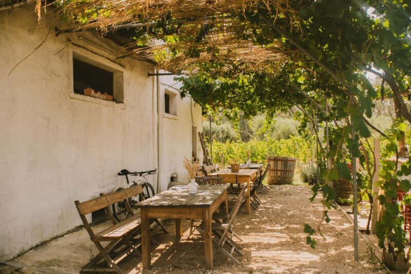 Corfu: E-Bike Tour with Wine Tasting and Winery Visit - Practical Details: What to Expect