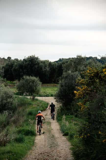 Corfu: E-Bike Tour with Wine Tasting and Winery Visit - FAQs About the Corfu E-Bike Tour