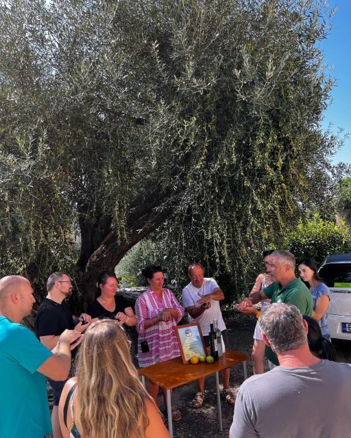 Corfu: Greek Cooking Class & Olive Oil Tasting - The Meal and Hospitality