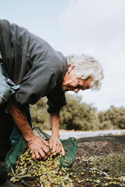 Corfu: Guided Olive Groves Tour with Olive Oil Tasting - Real Customer Feedback and Insights