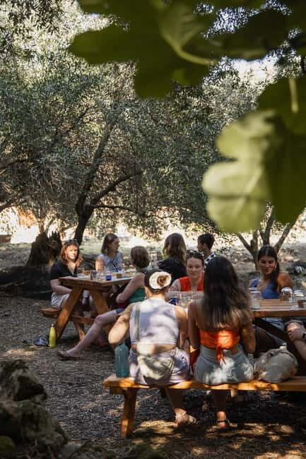 Corfu: Guided Olive Groves Tour with Olive Oil Tasting - Final Thoughts