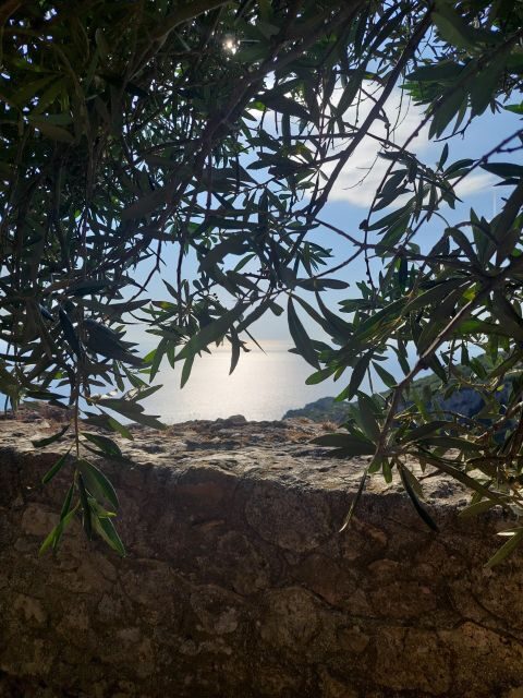 Corfu: Hiking in Olive Groves,Village,Sunset,with Swim Stop - Corfu: Hiking in Olive Groves, Village, Sunset, with Swim Stop