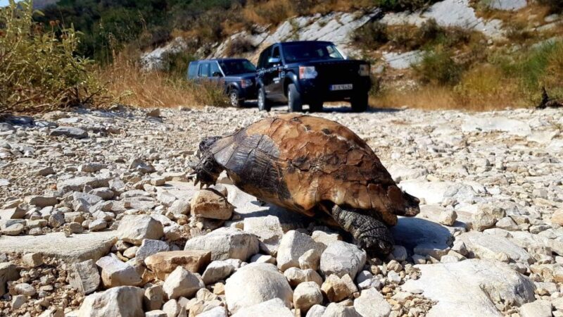 Corfu: Mount Pantokrator Shore Excursion - Who Is This Tour Best Suited For?