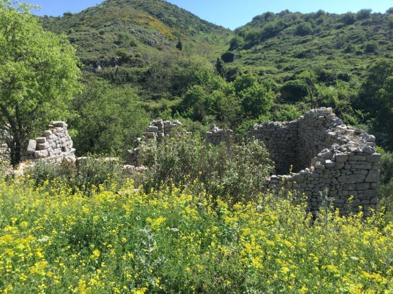 Corfu: Northwest Coast and Village Charms 4x4 Tour - Why Choose This Tour?
