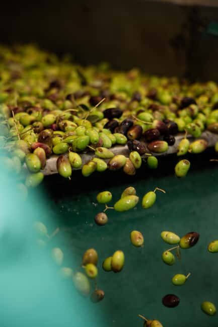 Corfu: Olive Oil and Kumquat Tasting Tour with Minivan - An In-Depth Look at the Corfu Olive Oil and Kumquat Tour