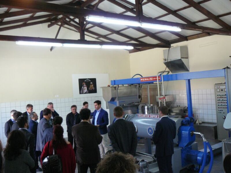 Corfu: Olive Oil Experience - The Governor's Olive Mill - Food & Wine Pairings