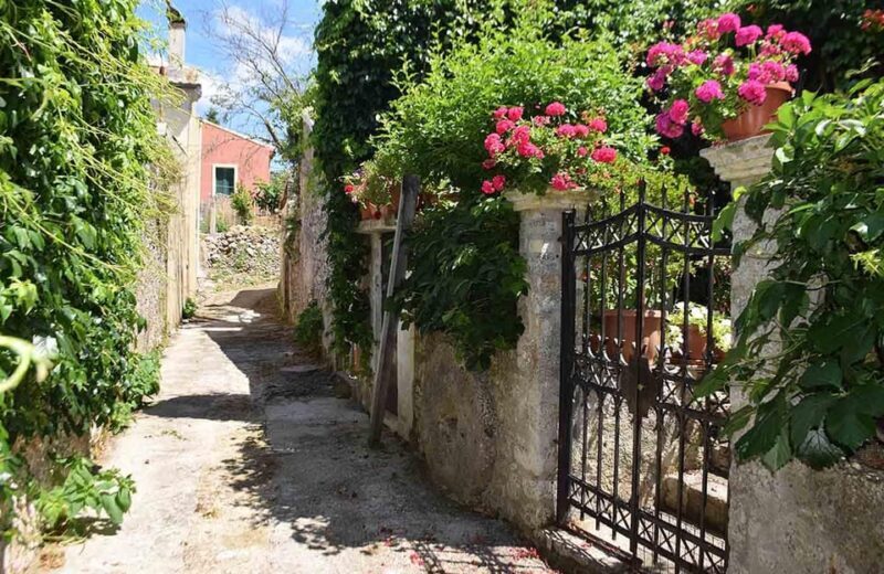 Corfu: Olive Oil & Wine Tastings & Traditional Villages Tour - Final Thoughts