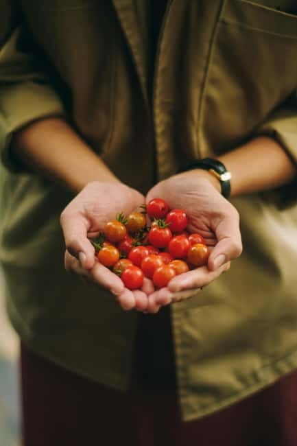 Corfu: Organic Farm and Olive Oil Tasting Tour - Key Points