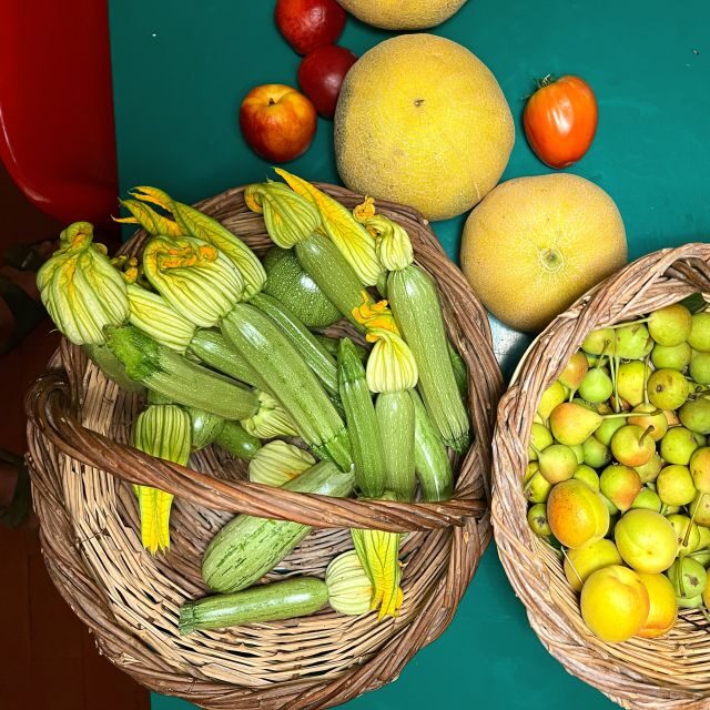 Corfu: Organic Olive Oil Farm Tour with Transfer and Tasting - What to Expect from the Tour