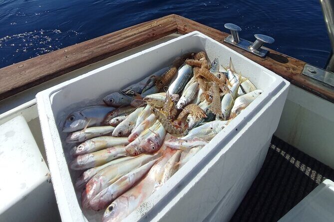 Corfu Private Fishing Cruises - What Reviewers Say