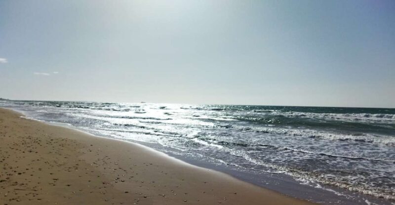 Corfu: Private Full-Day Northern Beaches Tour - FAQ Section