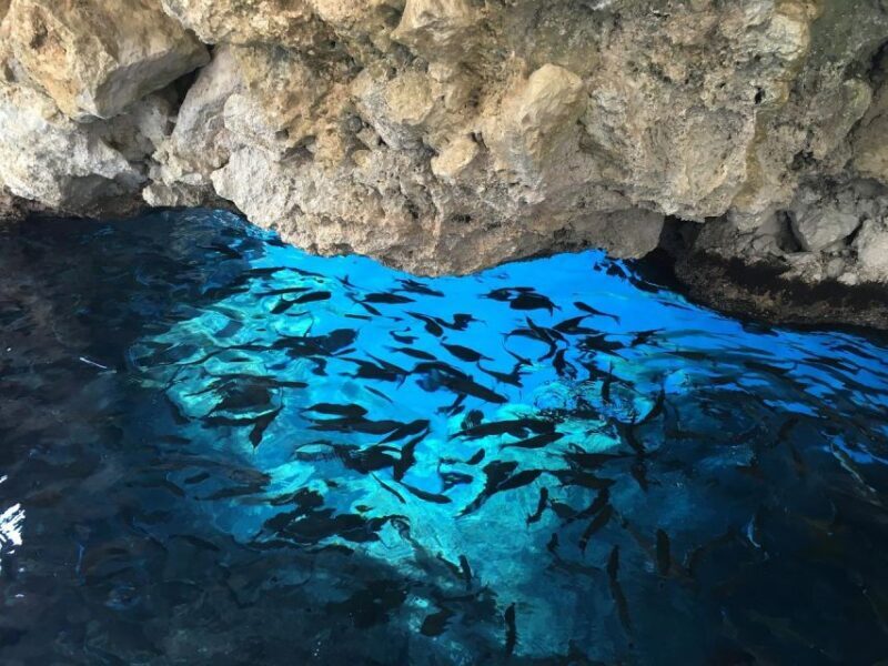 Corfu: The Beauty & The Beach Private Tour - Final Thoughts: Who Will Love This Tour?