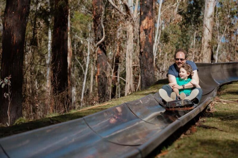 Corin Forest: Alpine Slide Ticket - Key Points