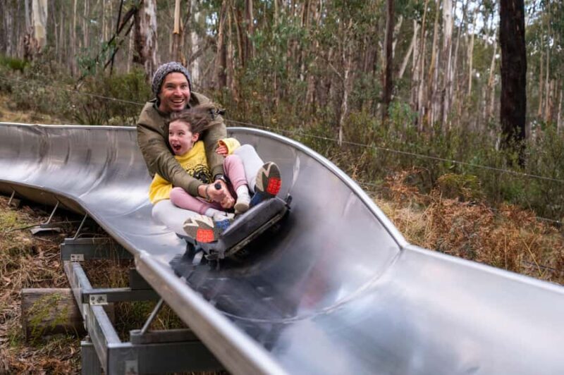 Corin Forest: Alpine Slide Ticket - An In-Depth Look at Corin Forest’s Alpine Slide Adventure