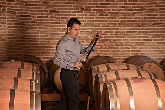 Corinth Winery Tour and Organic Fine Wine Tastings - Discovering Corinths Organic Winery: A Review of the Wine Tasting Tour