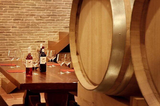 Corinth Winery Tour and Organic Fine Wine Tastings - A Closer Look at the Corinth Winery Experience