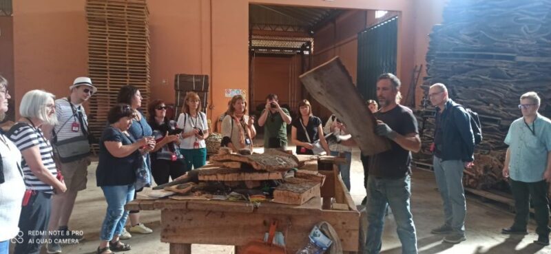 Cork Factory Tour - Key Points