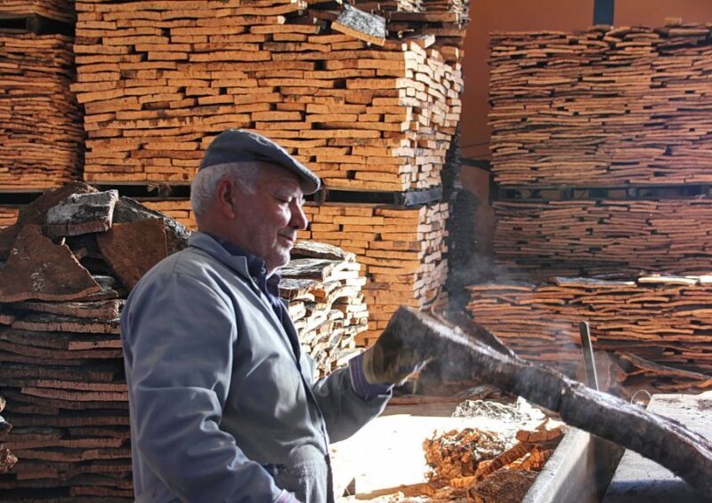 Cork Factory Tour - Who Should Consider This Tour?