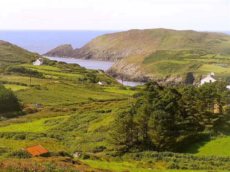 Cork: Fastnet Rock Lighthouse and Cape Clear Island Tour - The Itinerary in Detail