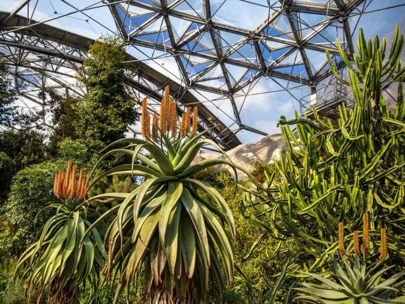 Cornwall: Eden Project Entry Ticket - Practical Details and Tips
