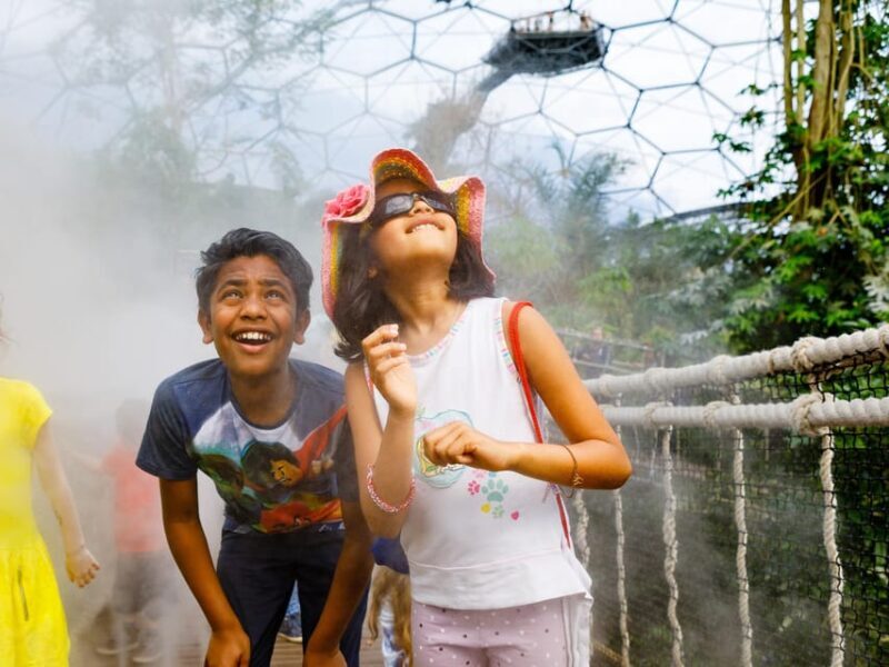 Cornwall: Eden Project Entry Ticket - Authentic Visitor Experiences