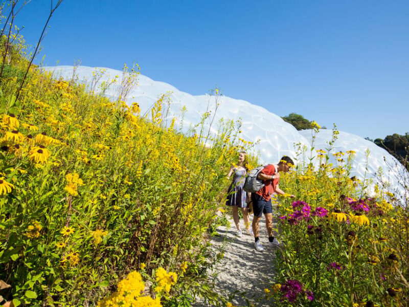 Cornwall: Eden Project Entry Ticket - The Sum Up: Who Will Love the Eden Project?
