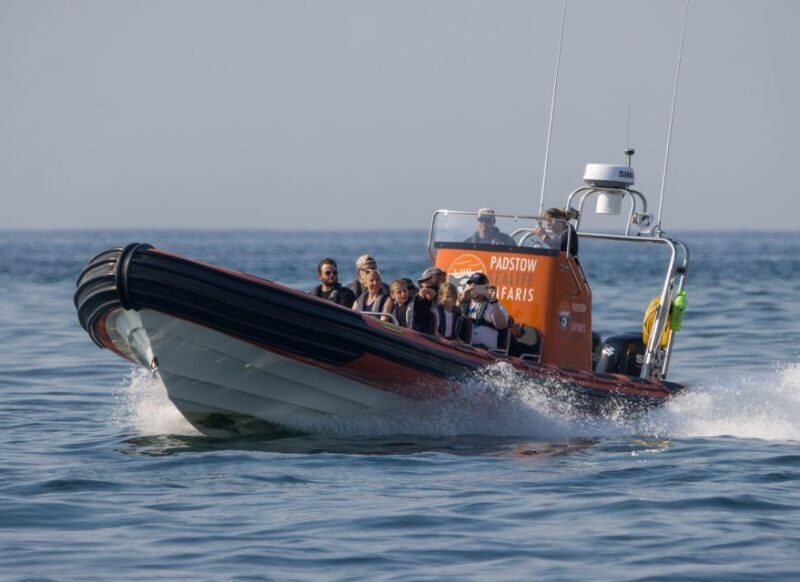 Cornwall: Guided Seal Safari by Boat - Who Should Consider This Tour?
