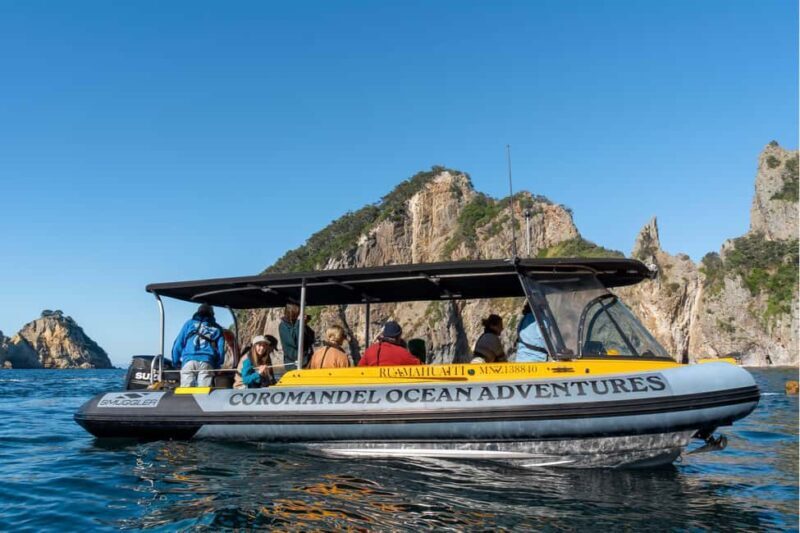 Coromandel: Aldermen Islands Marine Reserve Wildlife Cruise - Why This Tour Offers Good Value