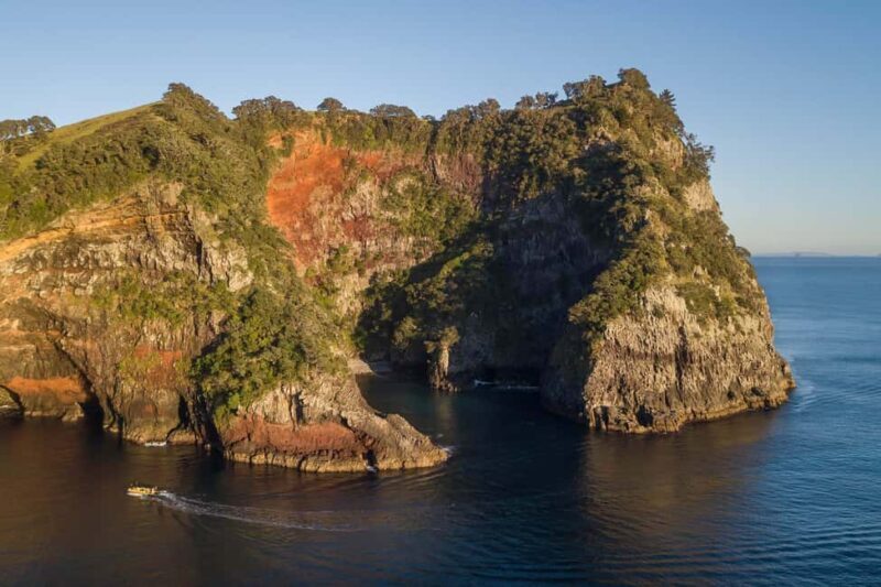Coromandel: Aldermen Islands Marine Reserve Wildlife Cruise - Final Thoughts: The Value of Authentic Nature Experiences