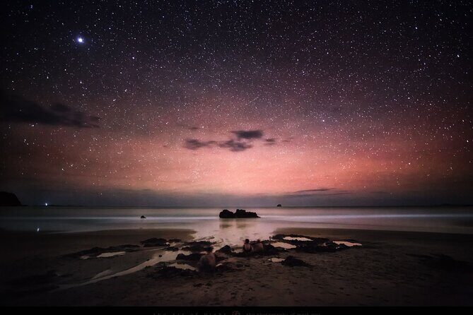 Coromandel Cathedral Cove and Hot Water Beach - Who Is This Tour Best For?