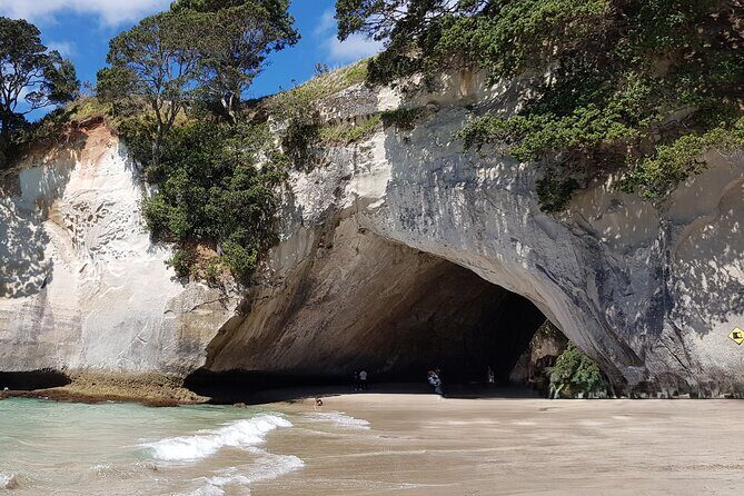 Coromandel Cathedral Cove Walk & Hot Water Beach Day Tour - A Detailed Look at Your Day on the Tour