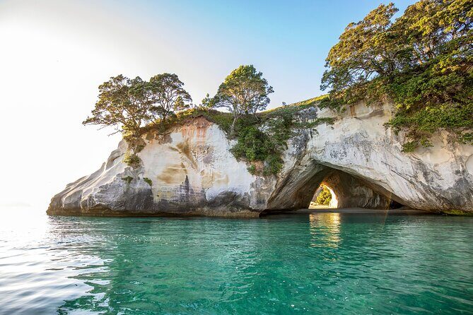 Coromandel Cathedral Cove Walk & Hot Water Beach Day Tour - Final Thoughts