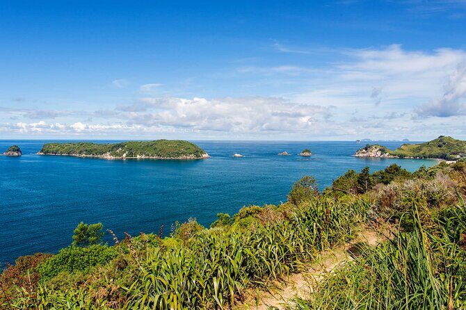 Coromandel Cathedral Tour Cove and Hot Water Beach from Auckland - Frequently Asked Questions