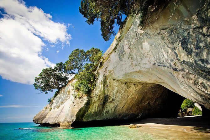 Coromandel Coastal Experience - Small Group Tour from Auckland - An In-Depth Look at the Coromandel Coastal Experience