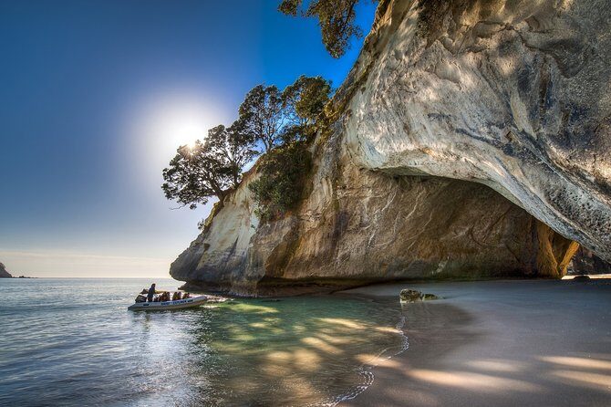 Coromandel Coastal Experience - Small Group Tour from Auckland - Summary