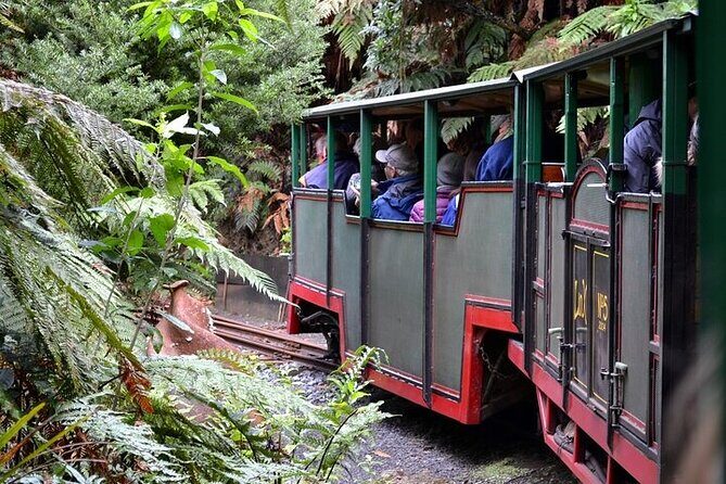 Coromandel Day Tour From Auckland - Final Thoughts