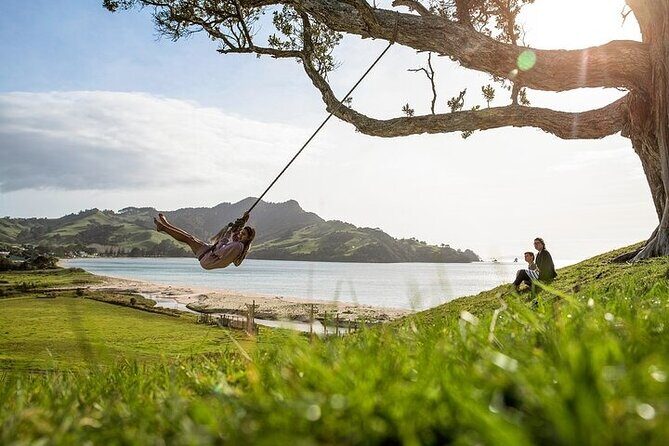 Coromandel Day Tour From Auckland - FAQ