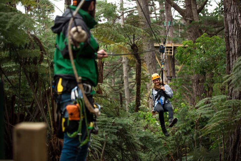 Coromandel: Guided Zipline Tour Experience - Coromandel: Guided Zipline Tour Experience — An Authentic Forest Adventure