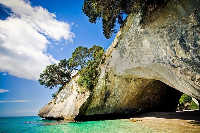 Coromandel Peninsula Discovery - Private Tour From Auckland - An In-Depth Look at the Tour Experience