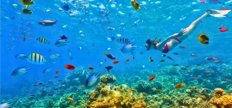 Coron: 2-Day Guided Overnight Island Stay with Meals - Why Choose This Tour?