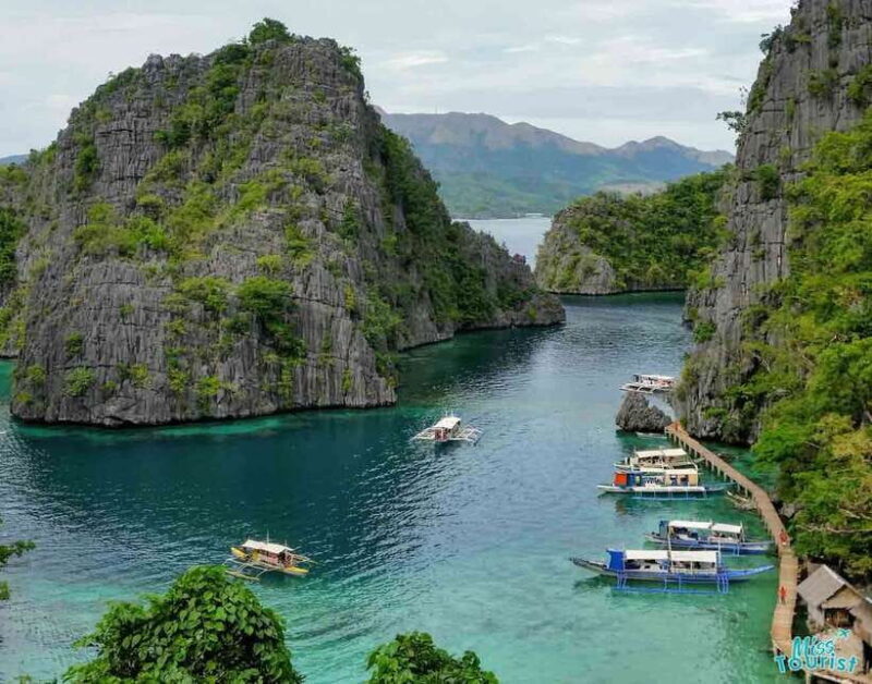 Coron: Barracuda Lake and Reef Garden Tour with Lunch - Key Points: