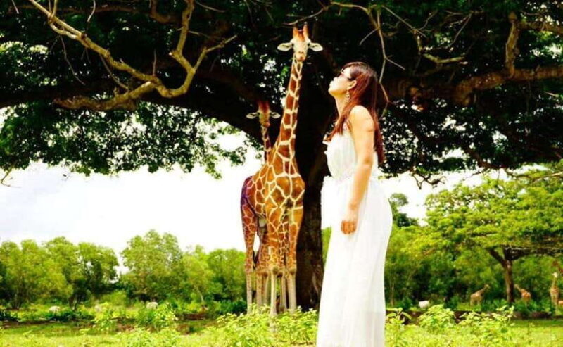 Coron: Calauit Safari Black Island Lunch & Transfer included - Coron: Calauit Safari Black Island Lunch & Transfer Included – An Authentic Day of Wildlife, Adventure, and Natural Beauty