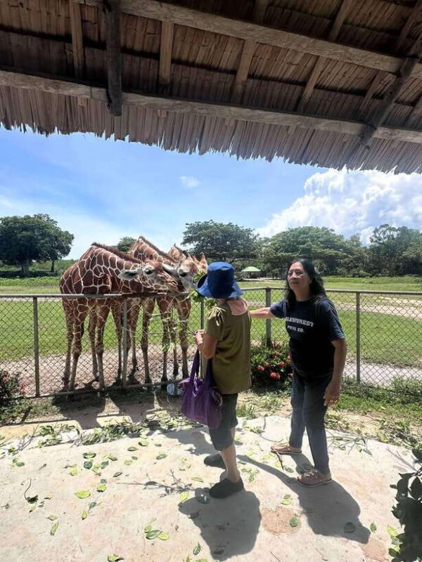 Coron: Calauit Safari Black Island Lunch & Transfer included - Black Island: The Star of the Day