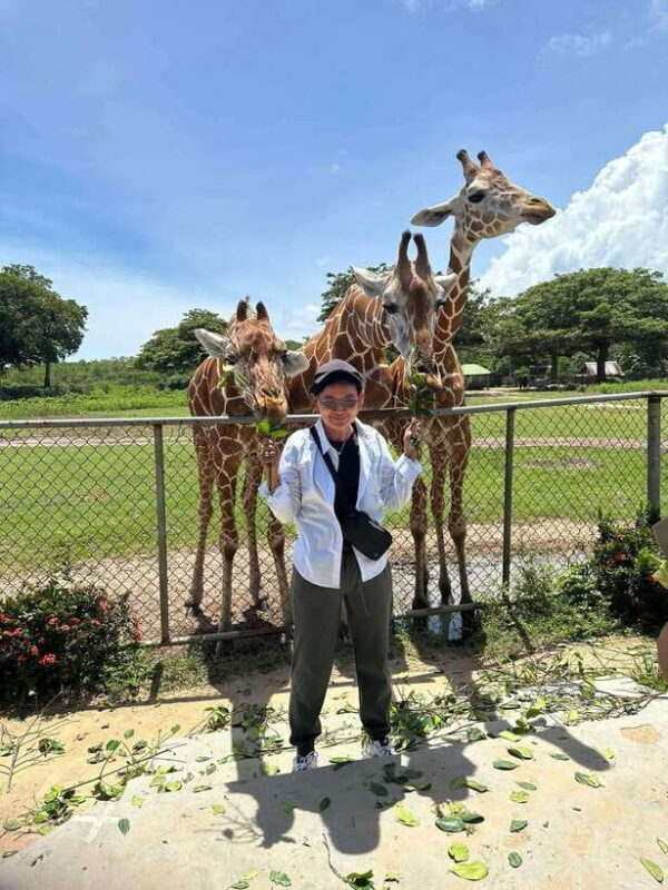 Coron: Calauit Safari Black Island Lunch & Transfer included - Wrapping Up the Day