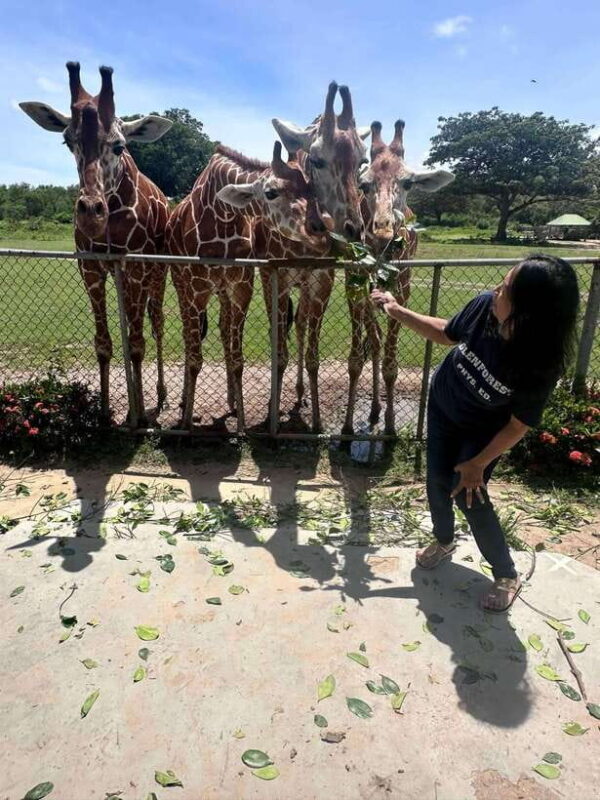 Coron: Calauit Safari Black Island Lunch & Transfer included - Authenticity and Experience