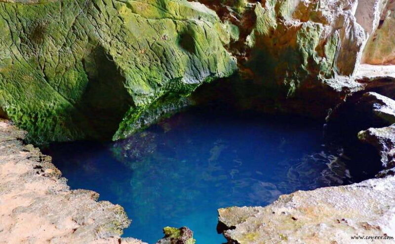 Coron Calauit Safari Tour (Private Tour) - Key Points